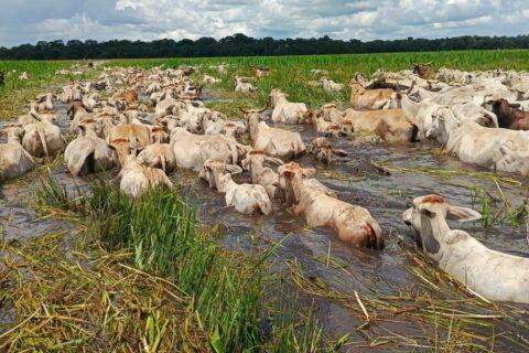 Ethan Hawke celebró su primera nominación al Oscar como actor principal ...